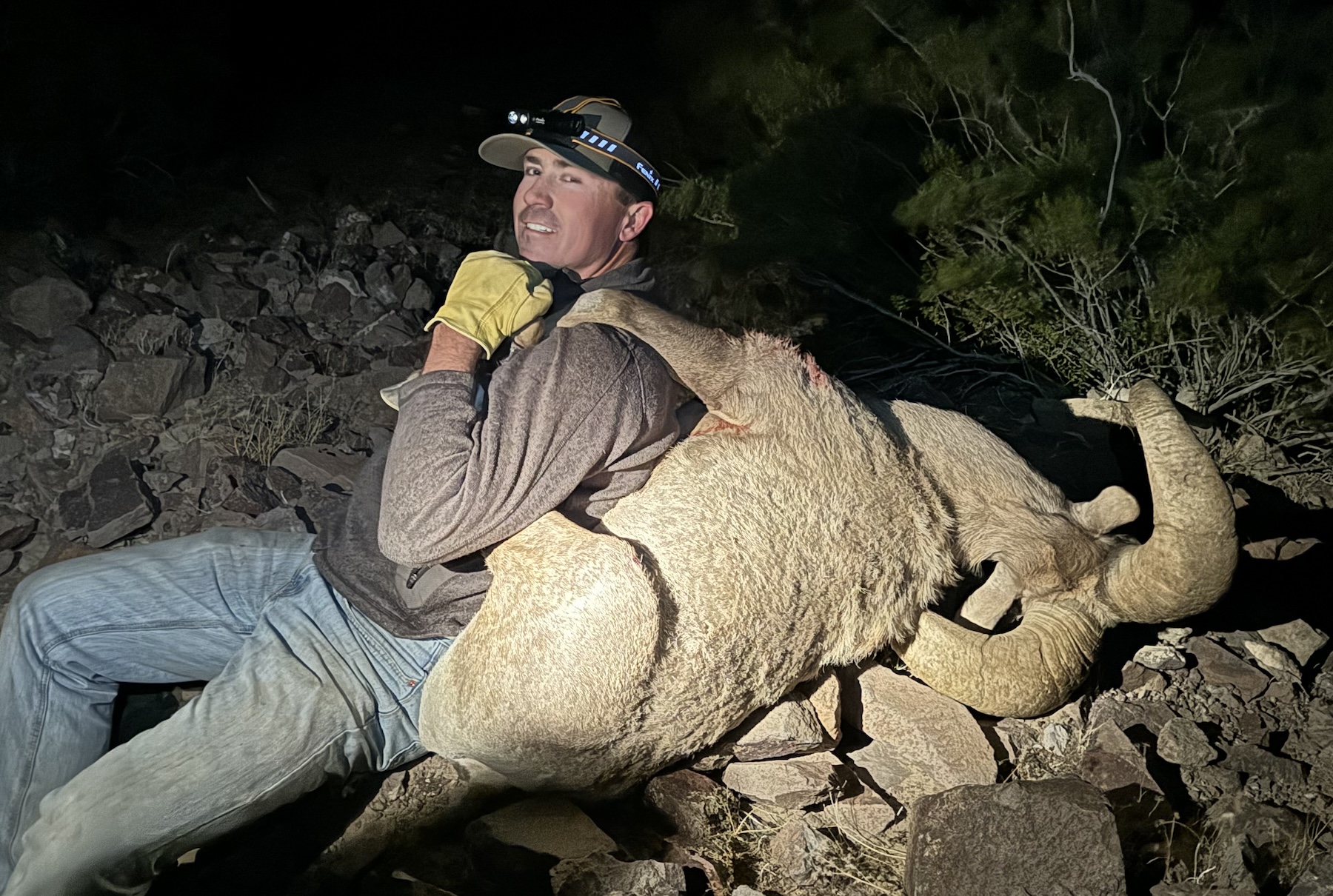 CAWSF - Showcase 2024